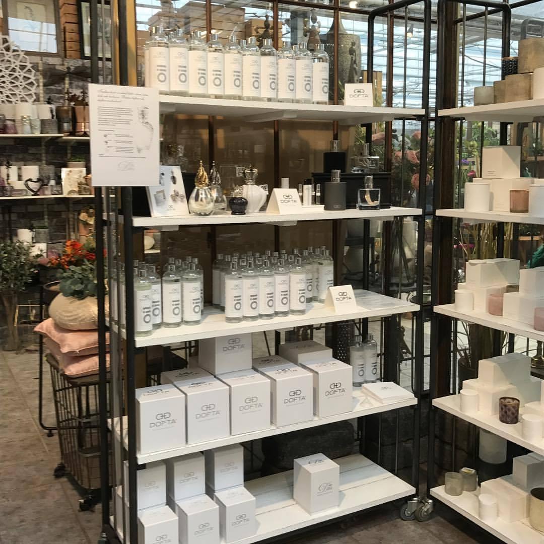 Air Purifying Catalytic Lamp Oil - DOFTA